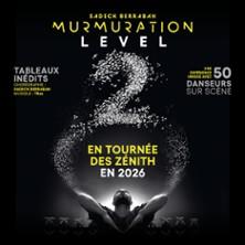 Murmuration Level 2 - Chorégraphié par Sadeck Berrabah - Tournée ...